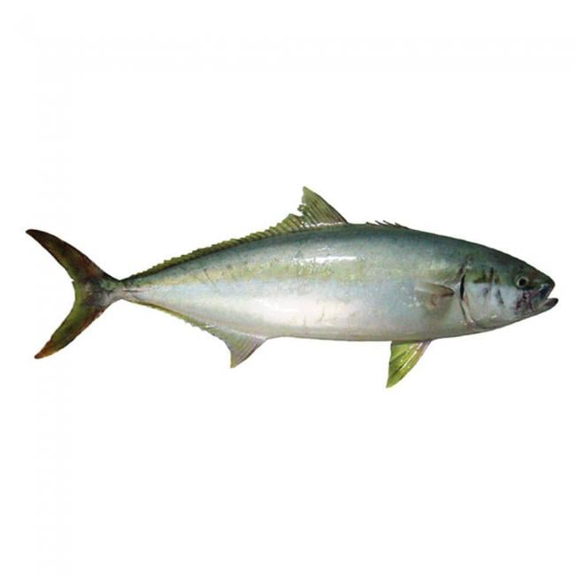 METRO Online | Best Online Grocery & Electronics Store in Pakistan